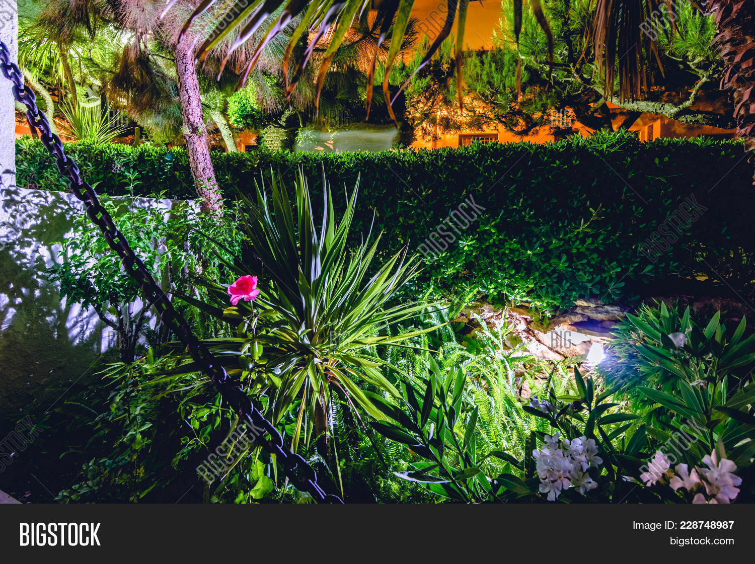 Rose Garden Concert Night