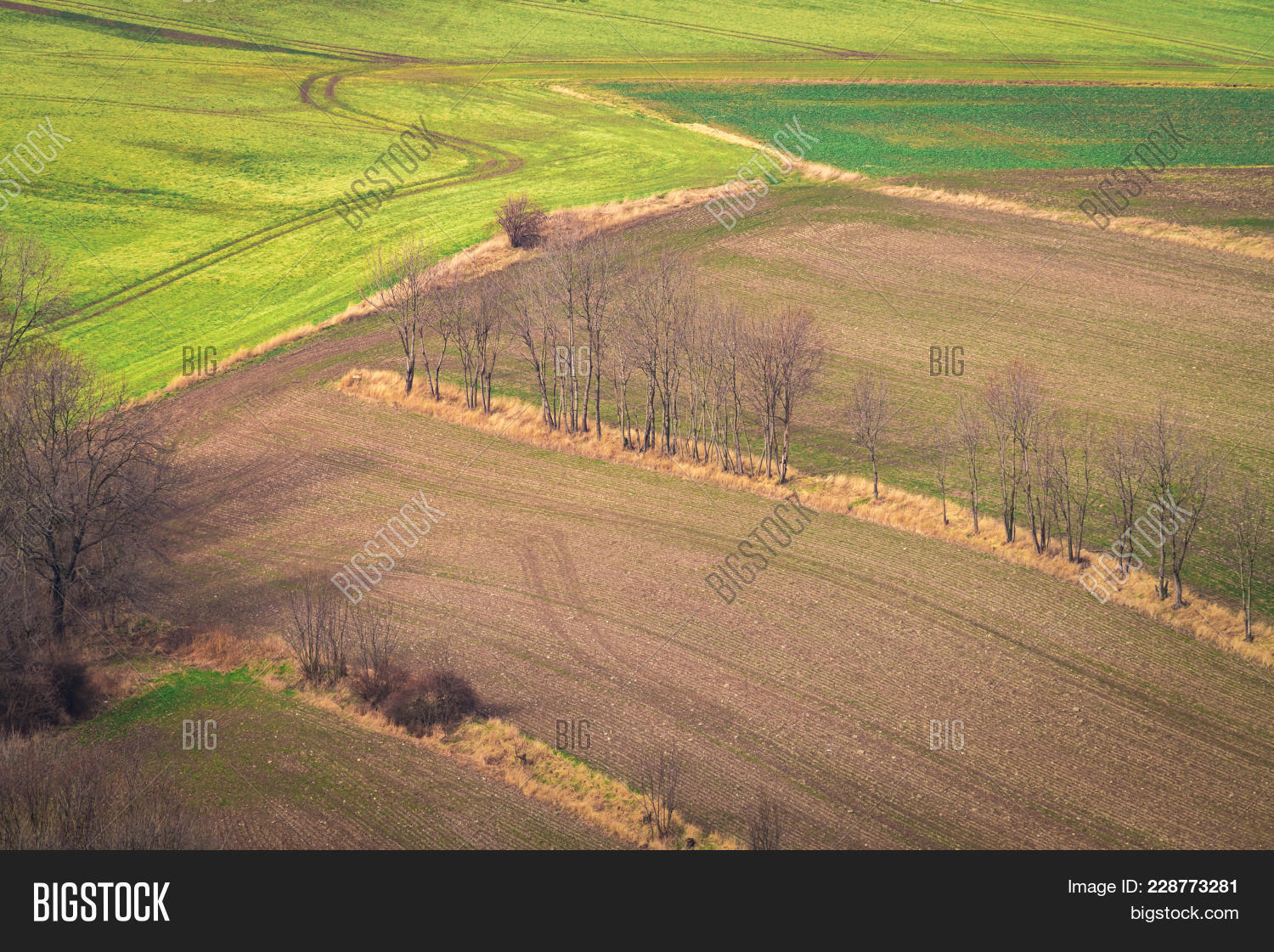 Silesia Landscape