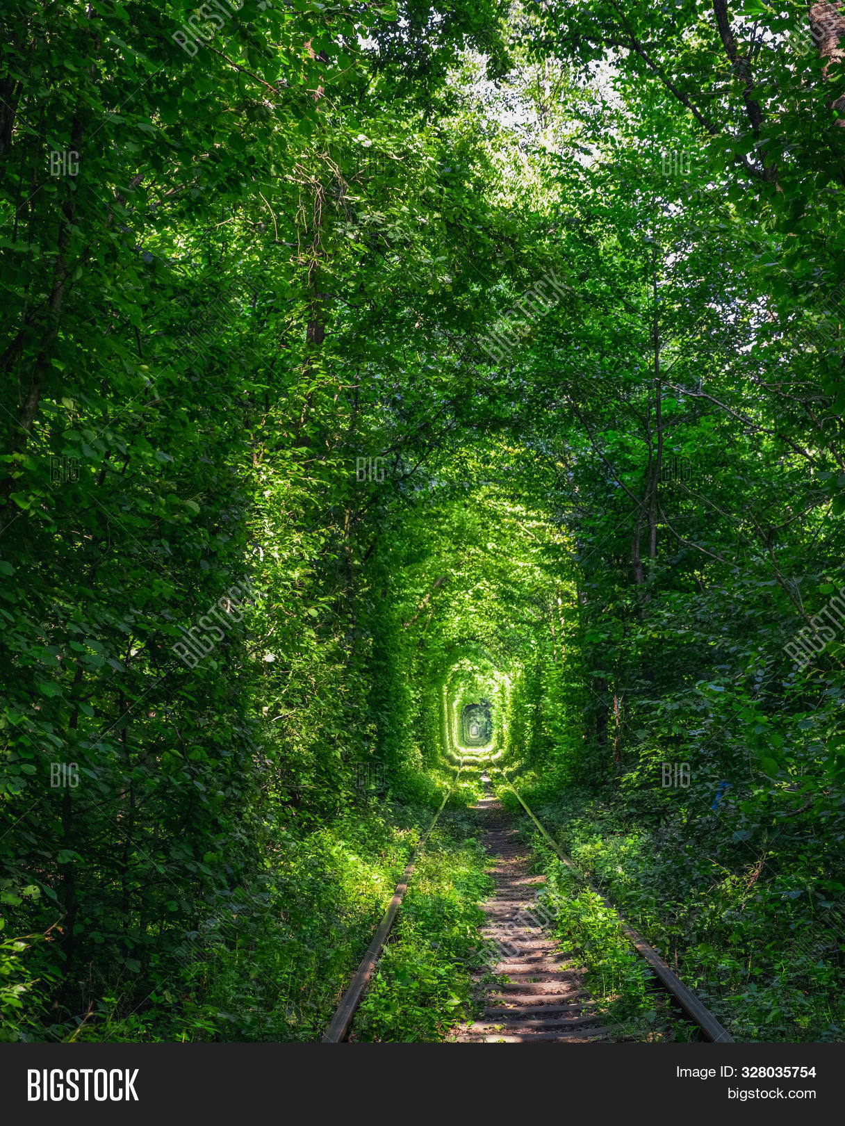 Magic Tunnel Love Near Image & Photo (Free Trial) | Bigstock