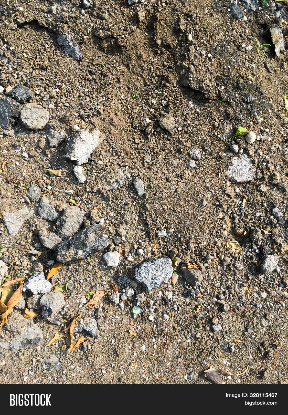 Lumps Dry Earth. Image & Photo (Free Trial) | Bigstock