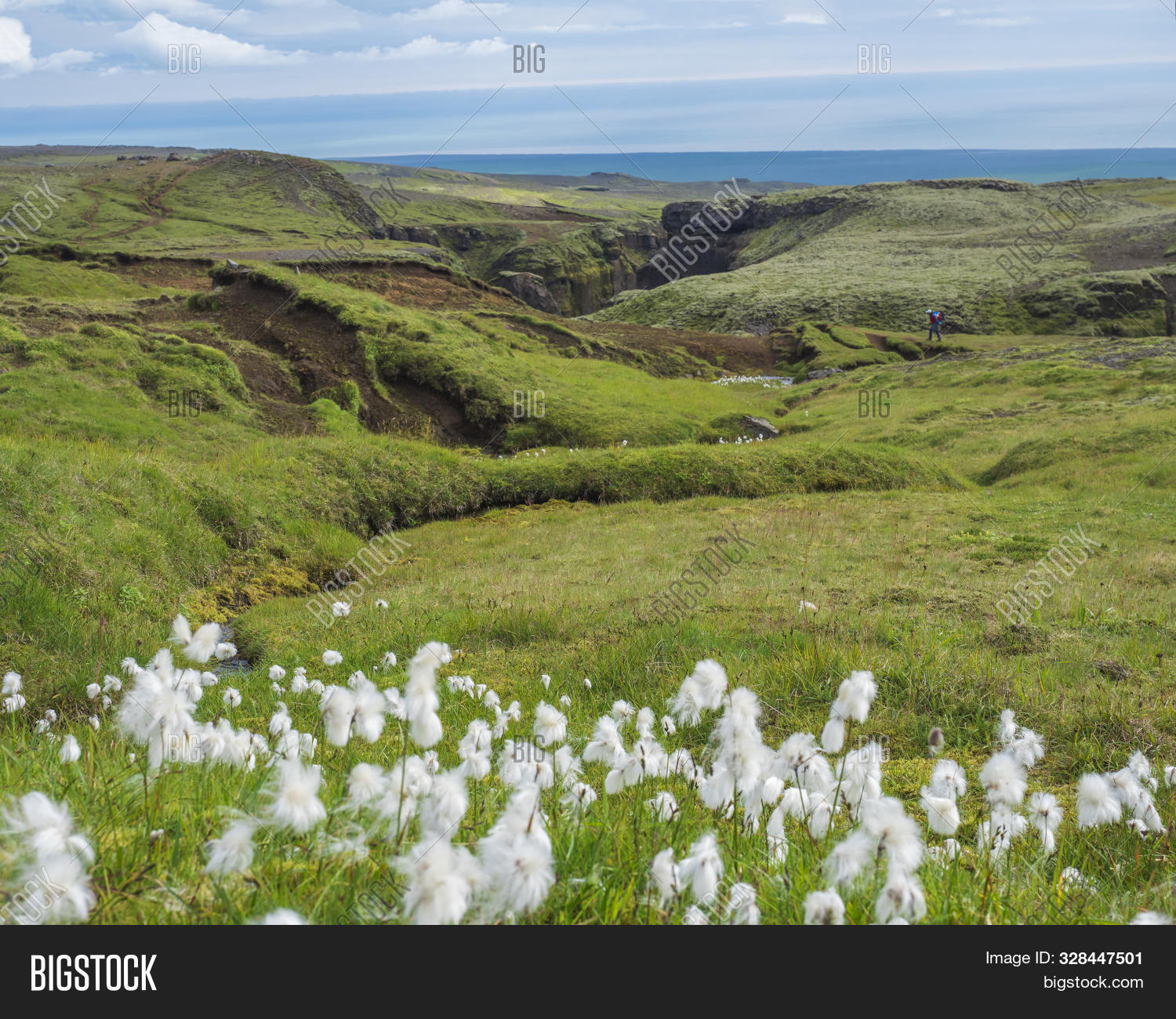 Beautiful Lush Green Image & Photo (Free Trial) | Bigstock