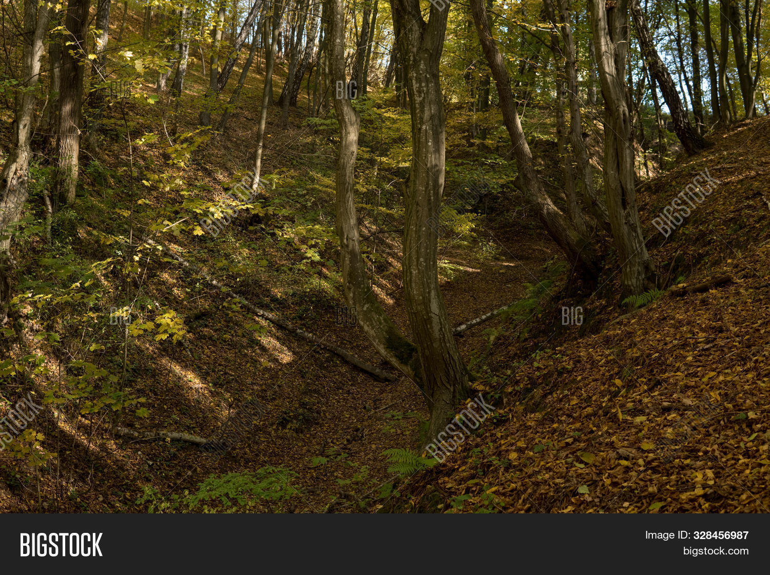 Bottom Gully Landform Image & Photo (Free Trial) | Bigstock
