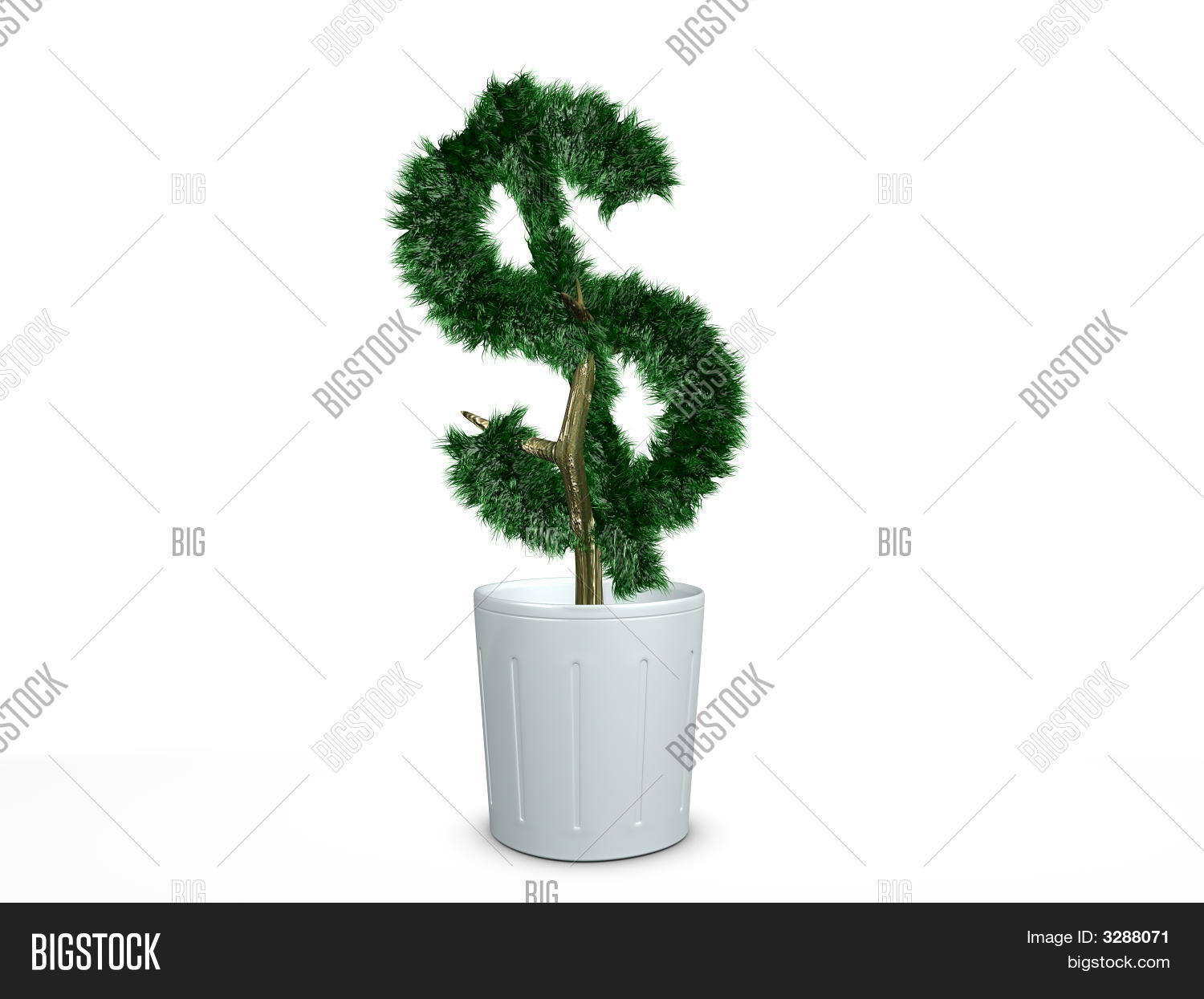 Bonsai Dollar Image & Photo (Free Trial) | Bigstock
