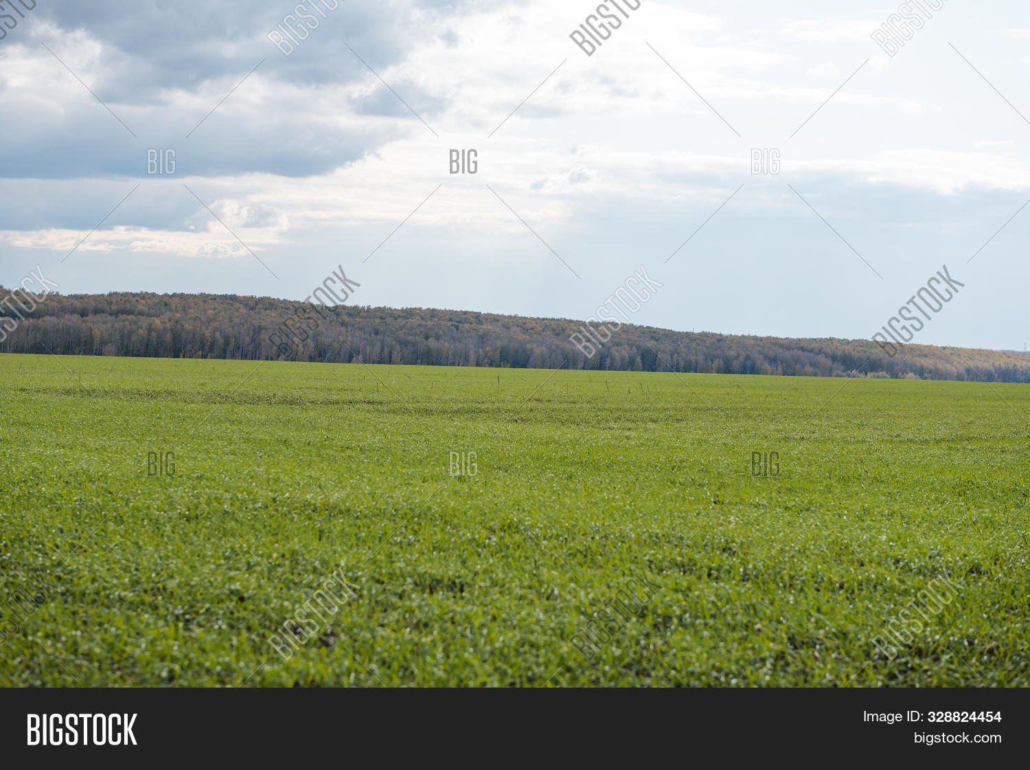 Green Field. Small Image & Photo (Free Trial) | Bigstock