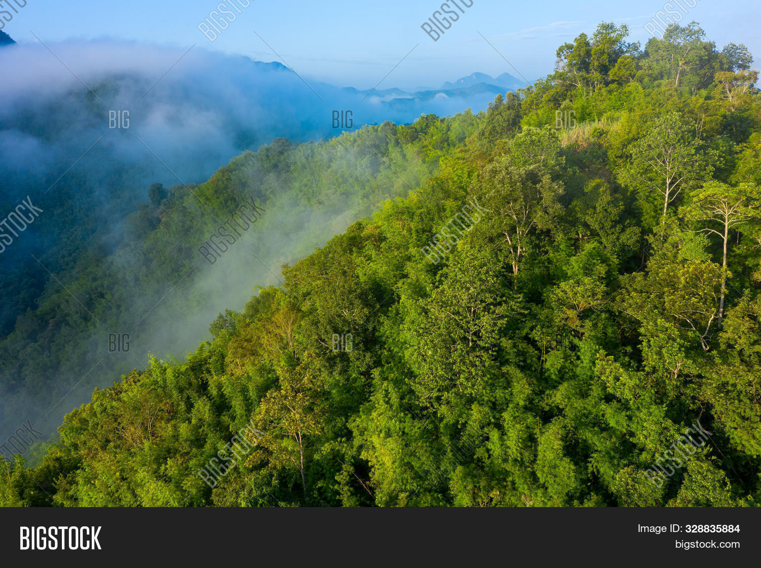 Aerial View Tropical Image & Photo (Free Trial) | Bigstock