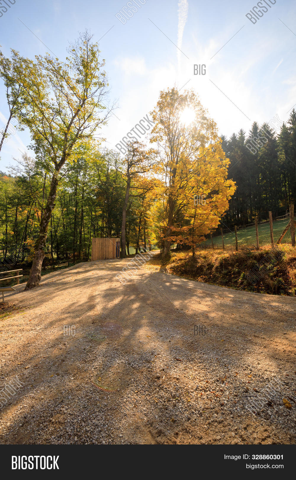 Forest Autumn Path Image & Photo (Free Trial) | Bigstock