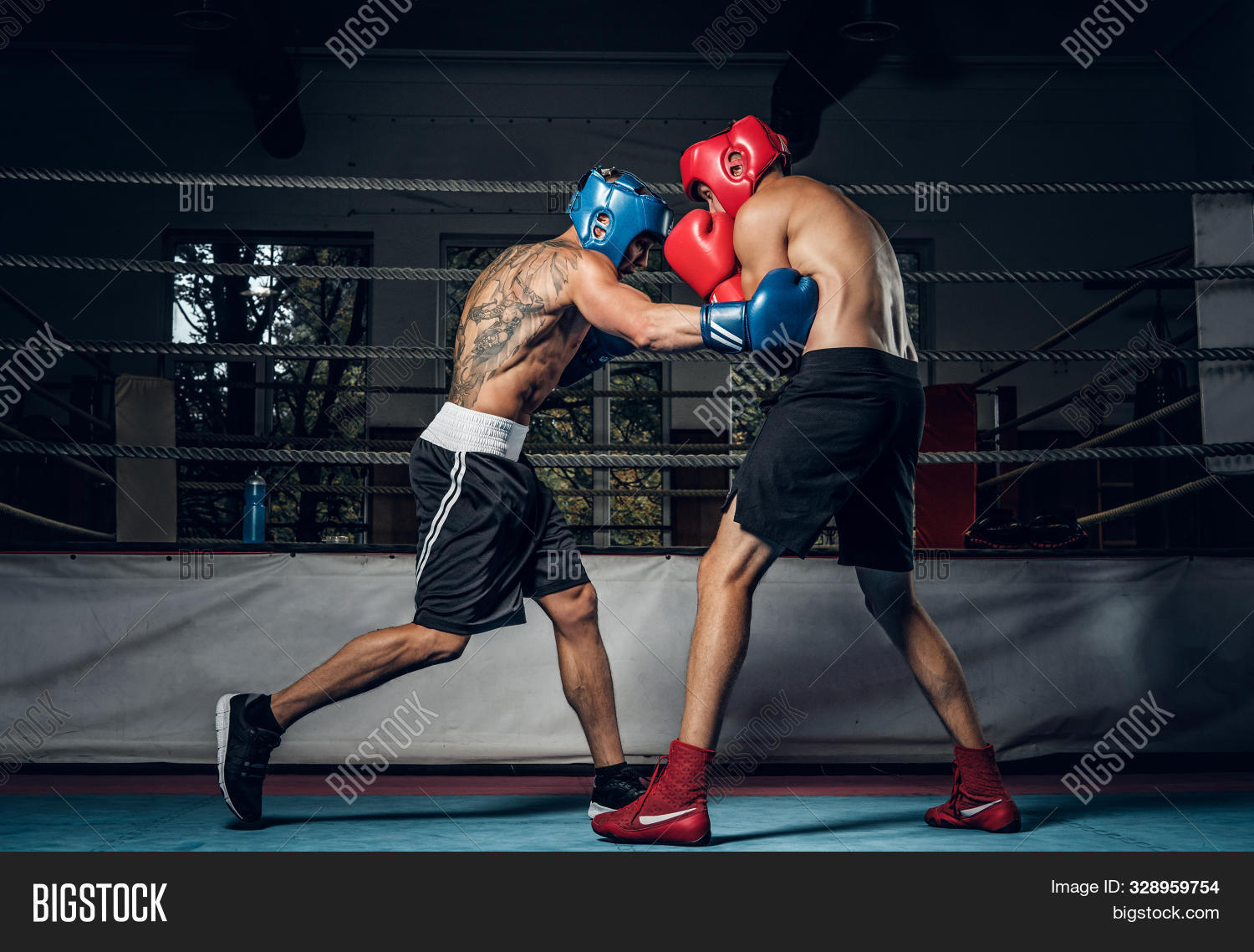 Two Muscular Boxers Image & Photo (Free Trial) | Bigstock
