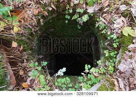 Small Cave Forest. Image & Photo (Free Trial) | Bigstock