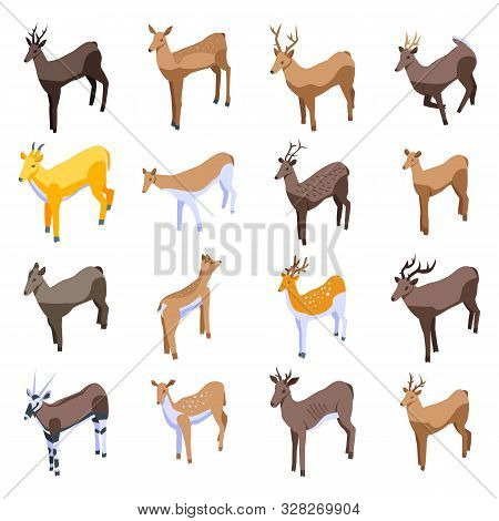 Deer Icons 矢量图和照片（免费试用） | Bigstock