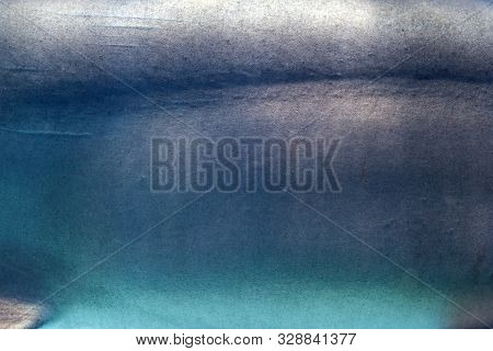 Shark Skin Texture Images, Illustrations & Vectors (Free) - Bigstock