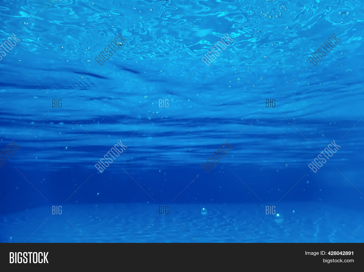 Underwater Empty Image & Photo (Free Trial) | Bigstock