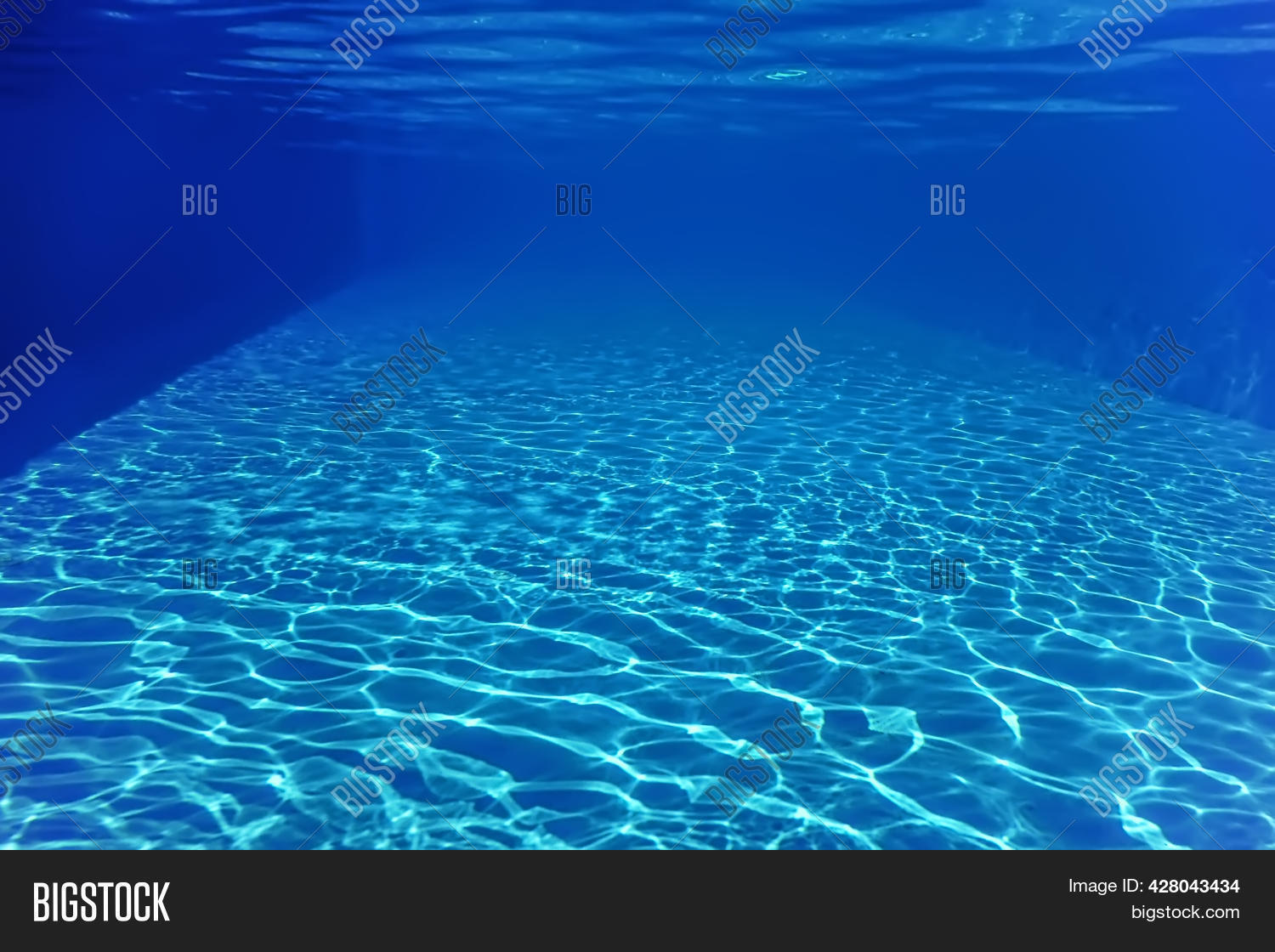 Underwater Empty Image & Photo (Free Trial) | Bigstock