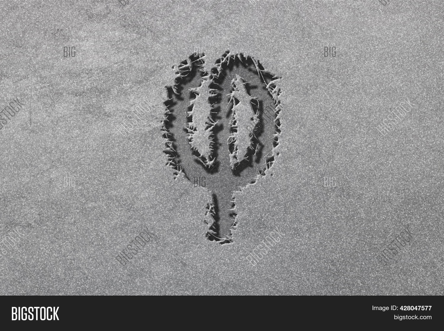 Phi Sign. Phi Letter, Image & Photo (Free Trial) | Bigstock