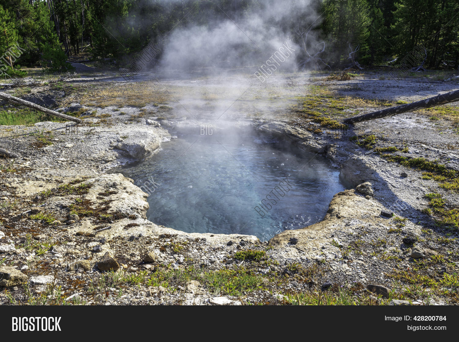 Steaming Hot Spring Image & Photo (Free Trial) | Bigstock