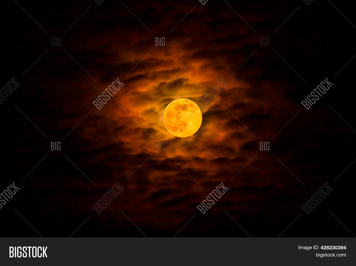 Bright Full Moon Full Image & Photo (Free Trial) | Bigstock