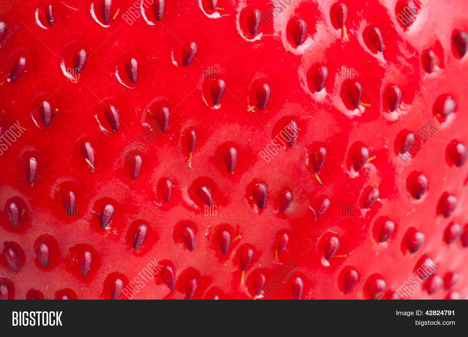 Imagen y foto Fondo De Fresa, (prueba gratis) | Bigstock