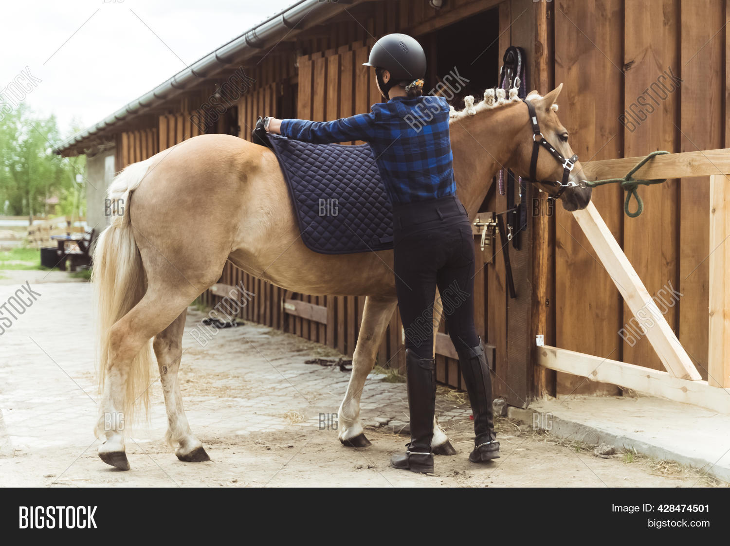 Female Jockey Saddling Image & Photo (Free Trial) | Bigstock