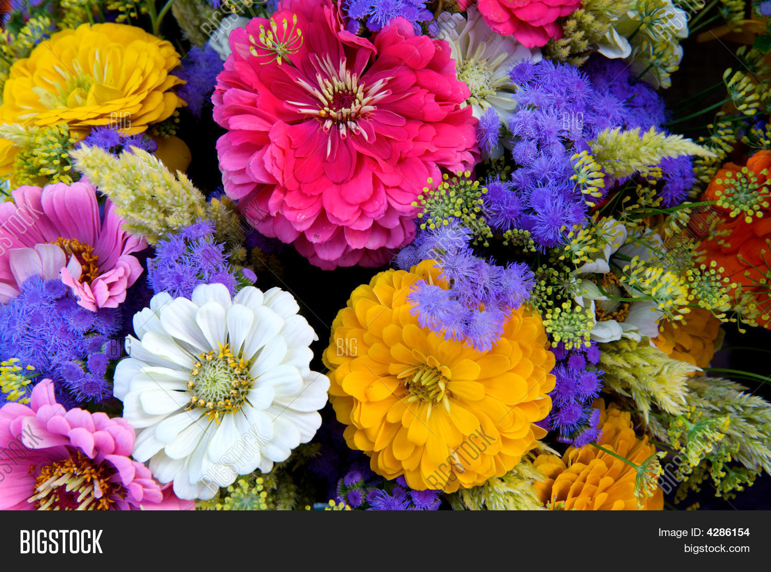 Summer Bouquet Image & Photo (Free Trial) | Bigstock