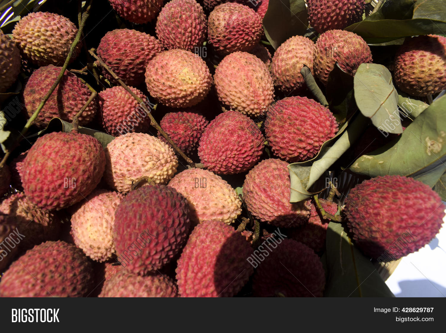 Top View Lychees Fruit Image & Photo (Free Trial) | Bigstock