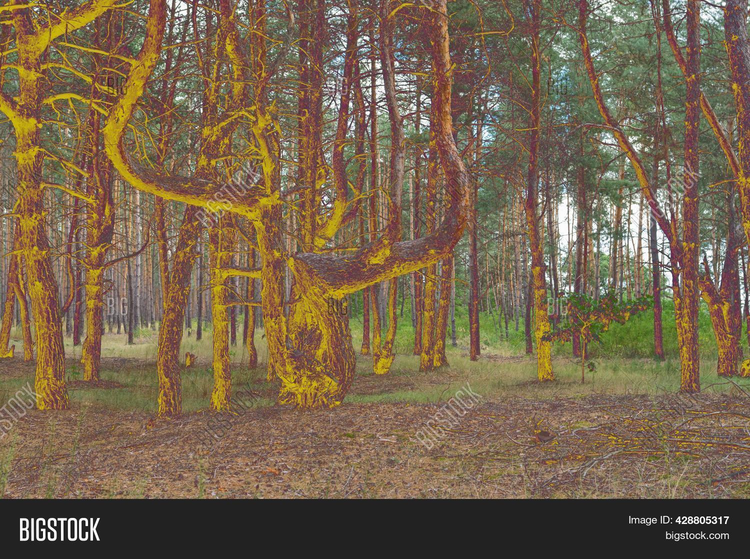Landscape Negative Image & Photo (Free Trial) | Bigstock