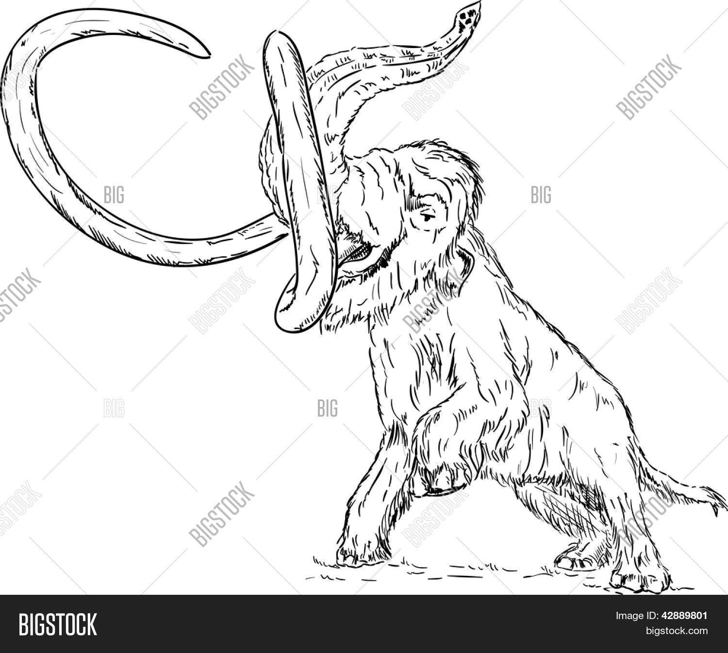 Vector - Big Mammoth Vector & Photo (Free Trial) | Bigstock