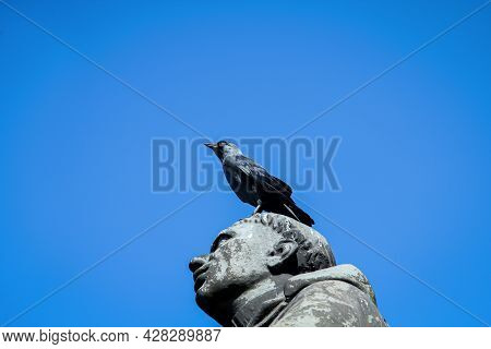 Dole Sits On Head Image & Photo (Free Trial) | Bigstock