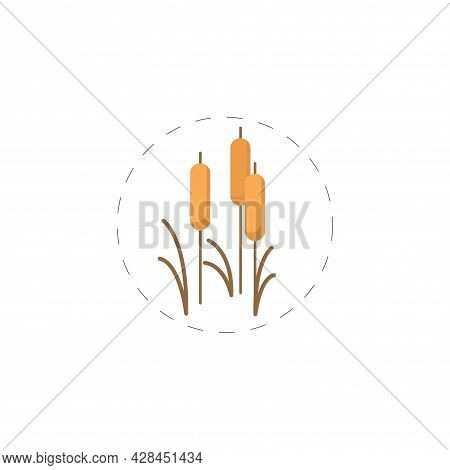 Reed Clipart. Reed Vector & Photo (Free Trial) | Bigstock