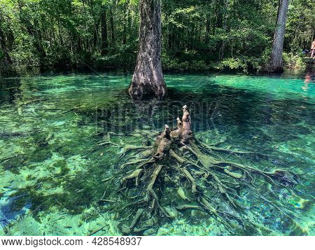 Deleon Springs State Image & Photo (Free Trial) | Bigstock