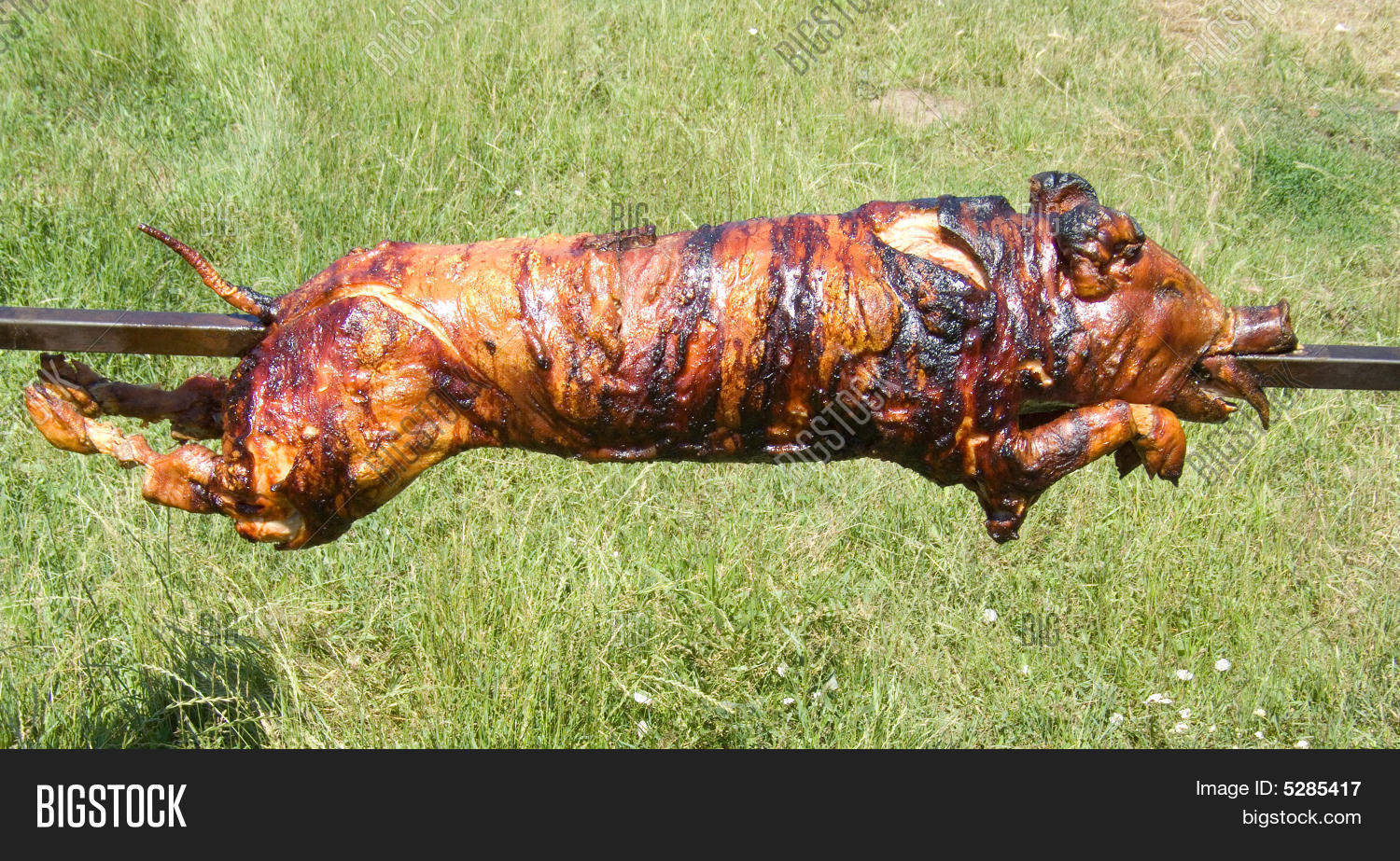 Pig On Spit Image & Photo (Free Trial) | Bigstock