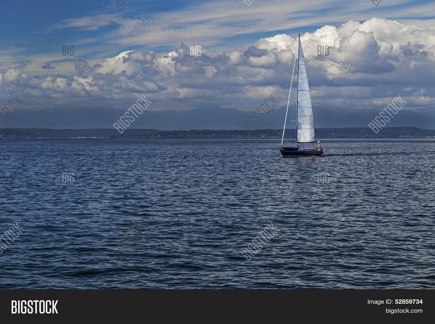 Sail Boat On Salish Image & Photo (Free Trial) | Bigstock