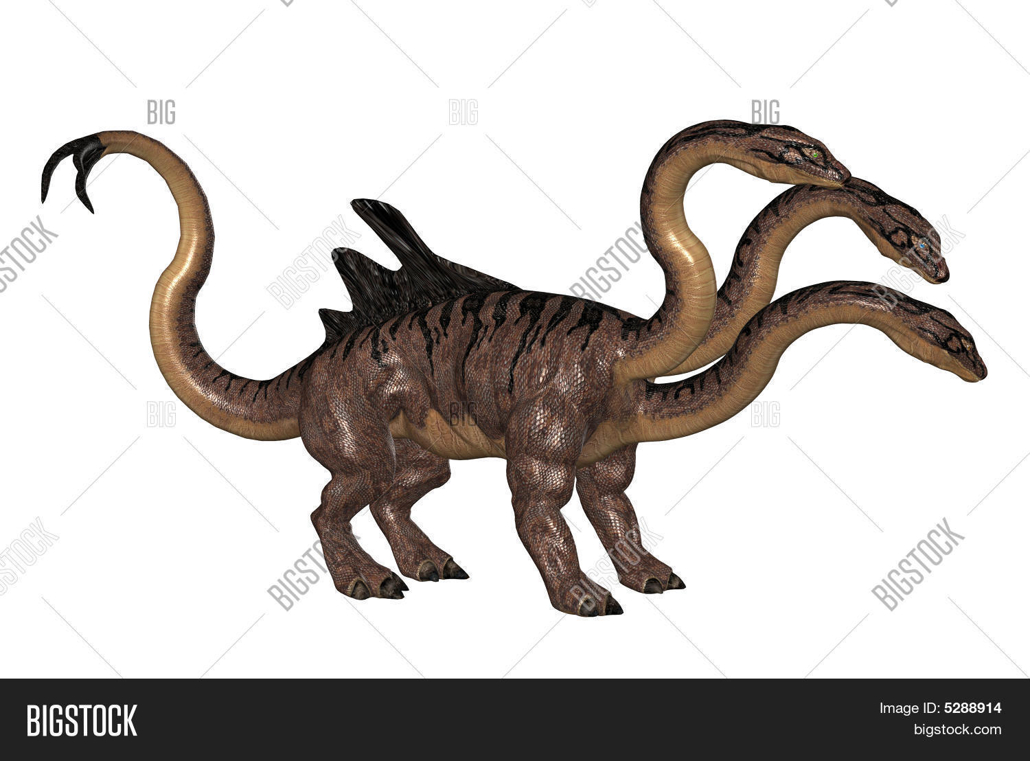 Hydra Image & Photo (Free Trial) | Bigstock