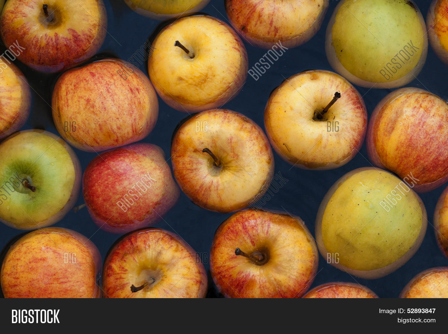 Multi Color Applesin Image & Photo (Free Trial) | Bigstock