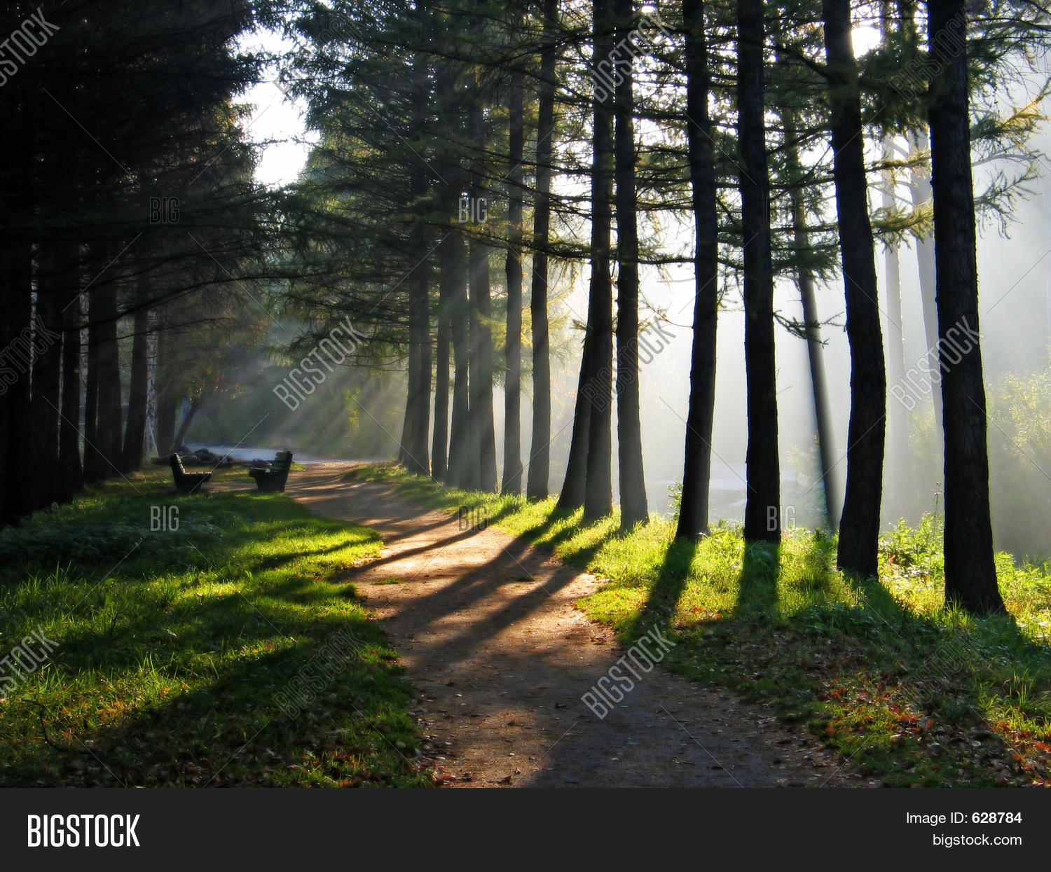 Morning Gardens Image & Photo (Free Trial) | Bigstock