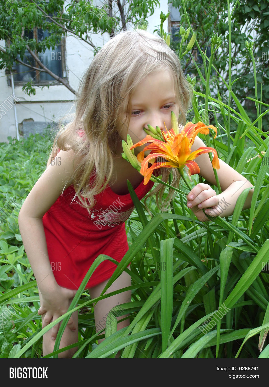 Little Girl Smelling Image & Photo (Free Trial) | Bigstock