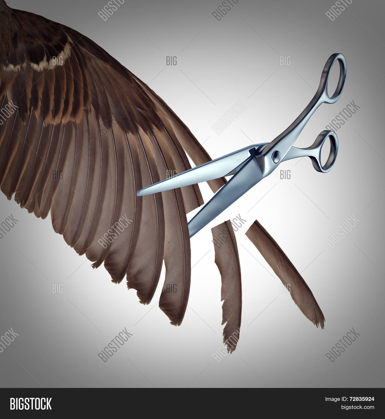 Losing Freedom Image & Photo (Free Trial) | Bigstock