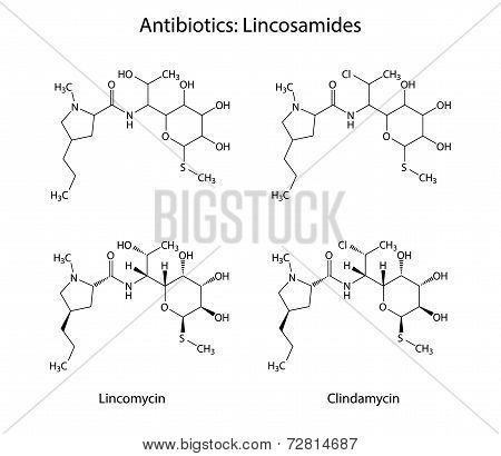 Lincosamides - Vector & Photo (Free Trial) | Bigstock