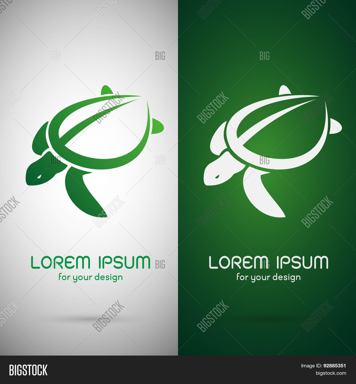Vector Image Turtle Vector & Photo (Free Trial) | Bigstock