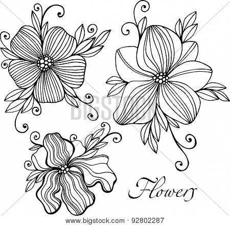 Hand Drawn Traced Vector & Photo (Free Trial) | Bigstock
