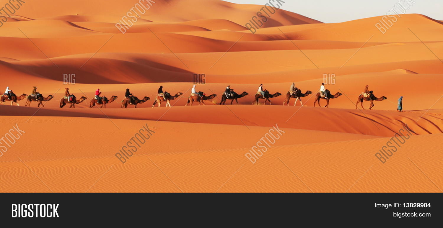 Caravan Sahara Desert Image & Photo (Free Trial) | Bigstock