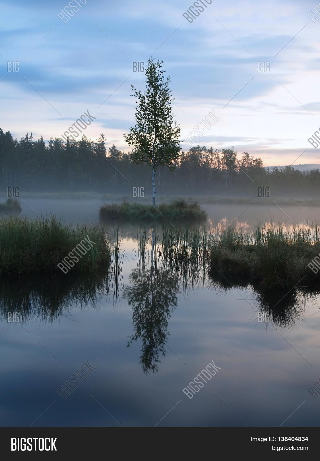 Swamp Peaceful Water Image & Photo (Free Trial) | Bigstock