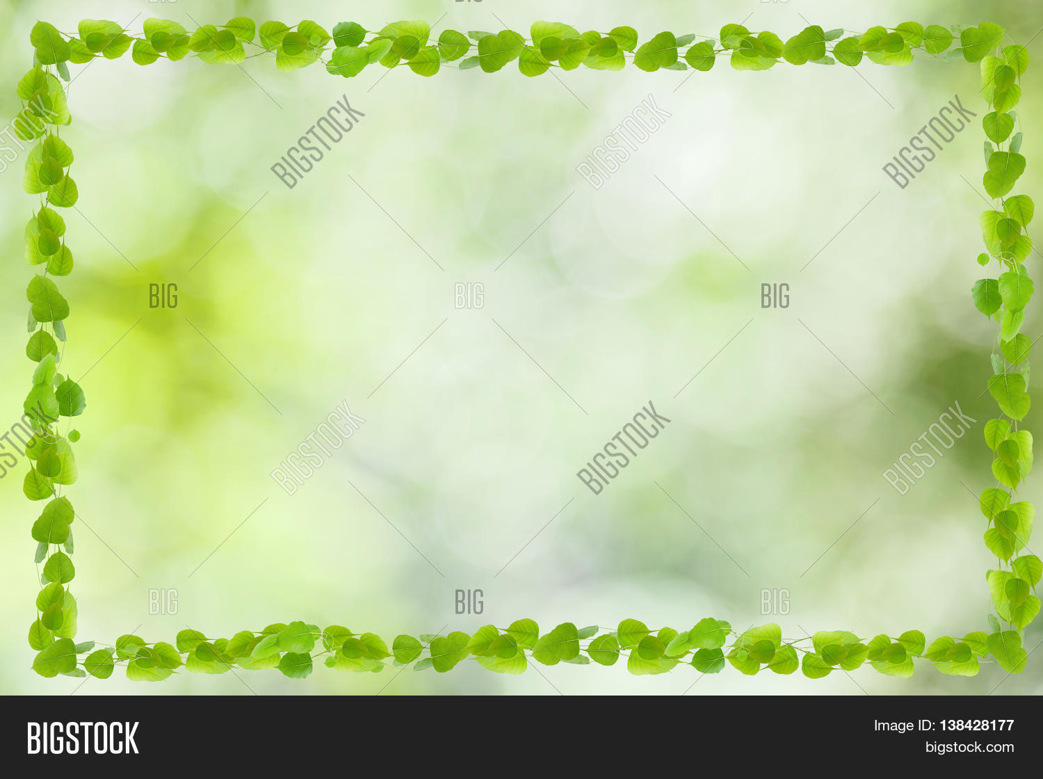 Green Leaves Frame On Image & Photo (Free Trial) | Bigstock