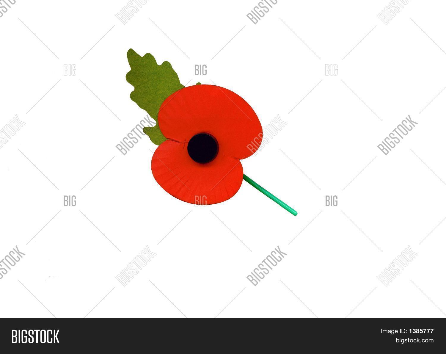 Rememberance Day Poppy Image & Photo (Free Trial) | Bigstock