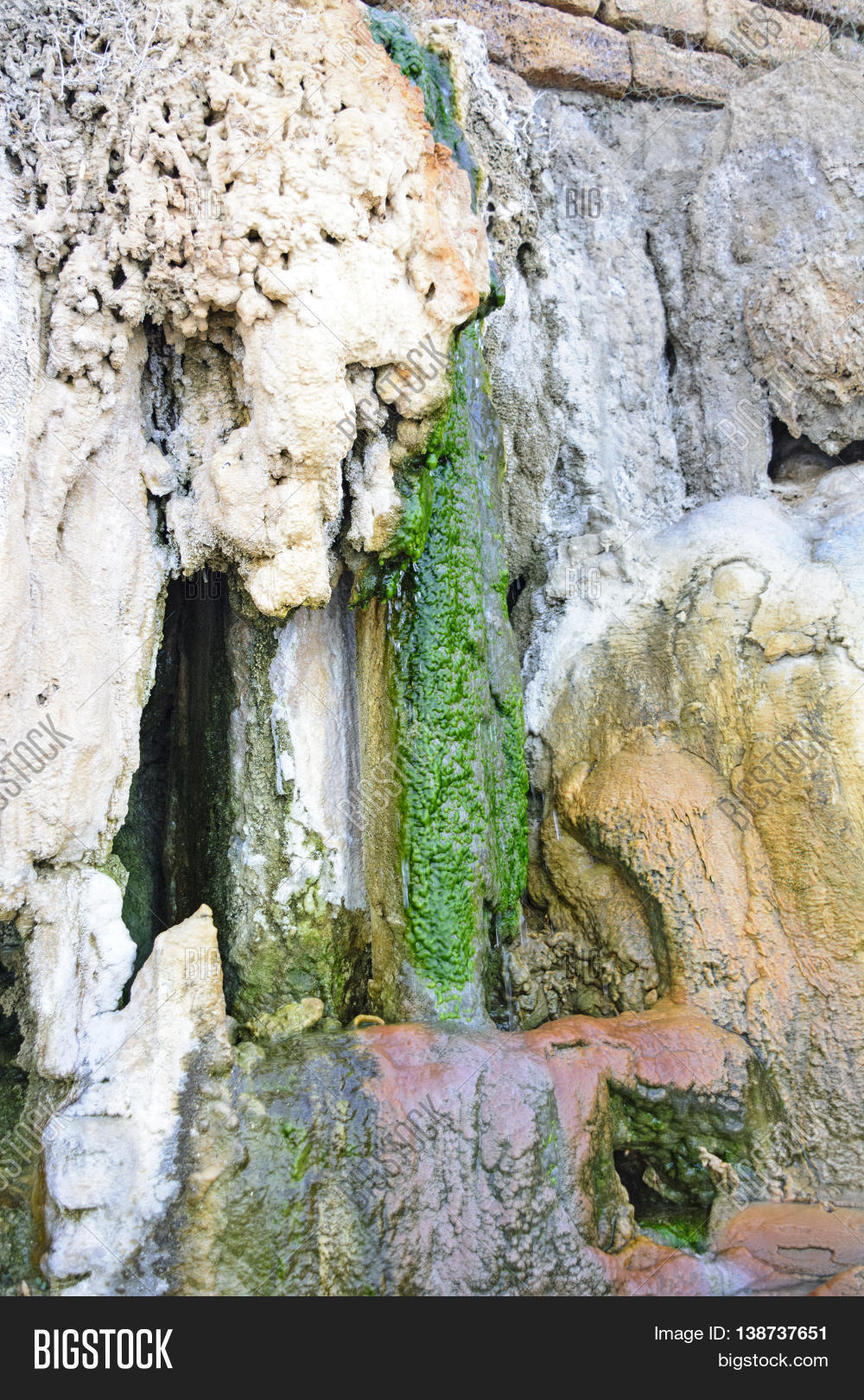 Green Algae On Wall Image & Photo (Free Trial) | Bigstock