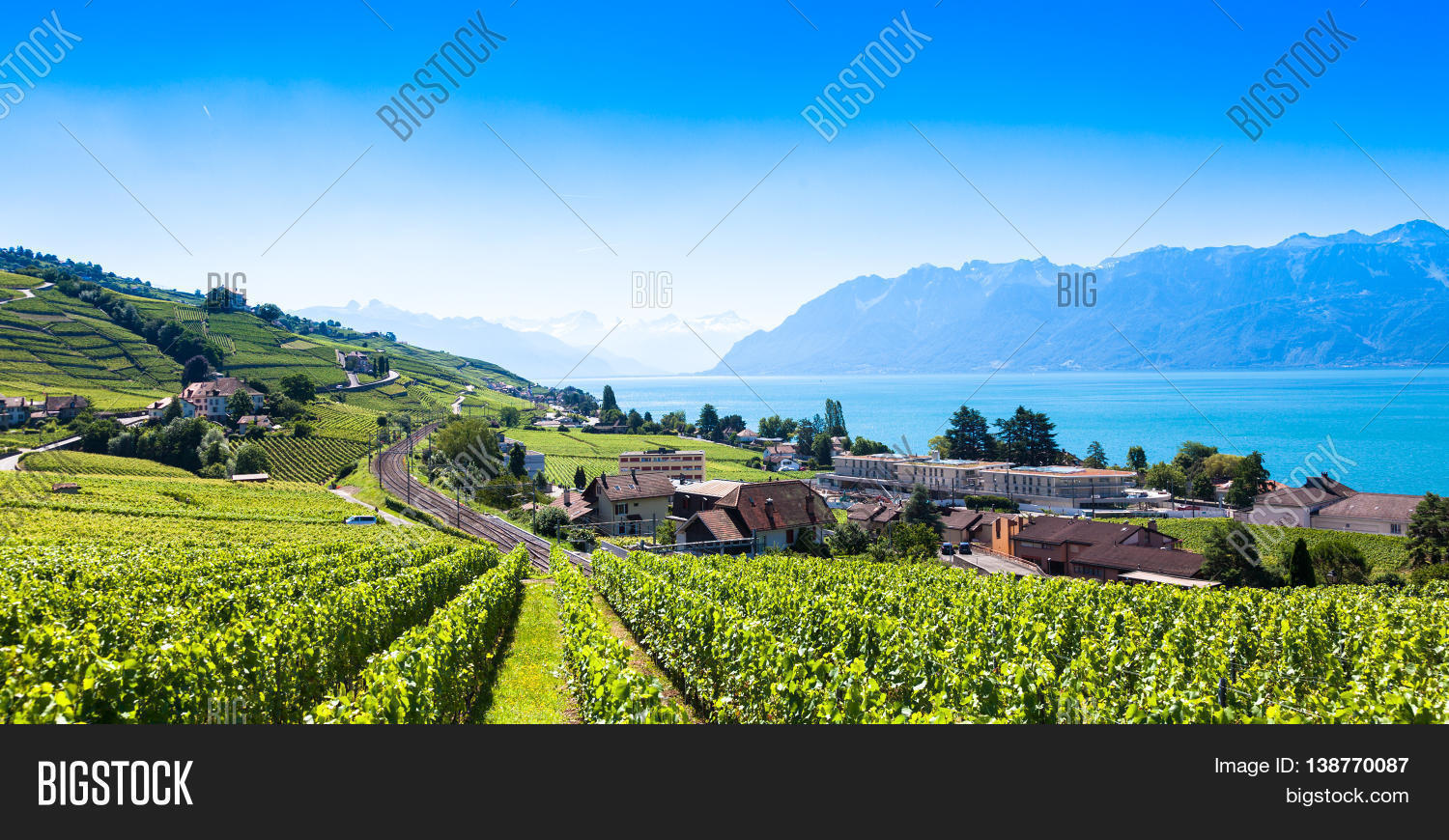 Vineyards Lavaux Image & Photo (Free Trial) | Bigstock