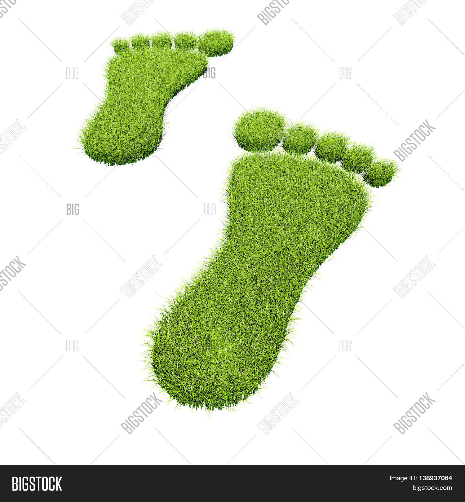 Green Grass Footprints Image & Photo (Free Trial) | Bigstock