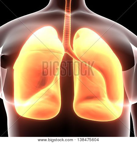 3D Render 3d Image & Photo (Free Trial) | Bigstock