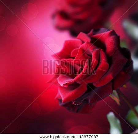 Red Roses Design Image & Photo (Free Trial) | Bigstock