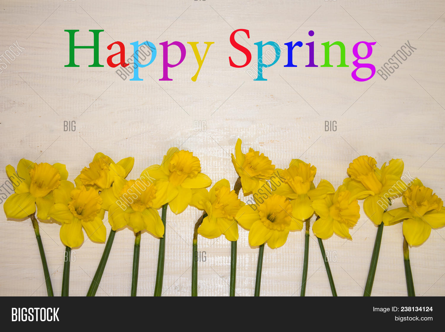 Spring Flowers Image & Photo (Free Trial) | Bigstock
