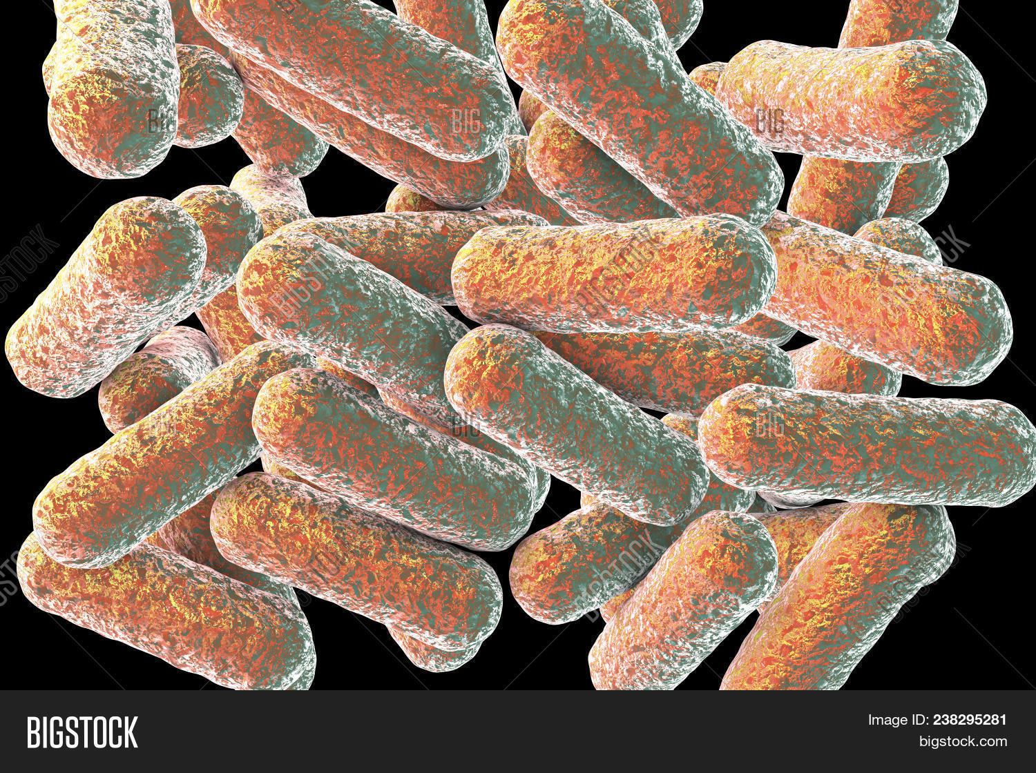 Morganella Morganii, Image & Photo (Free Trial) | Bigstock