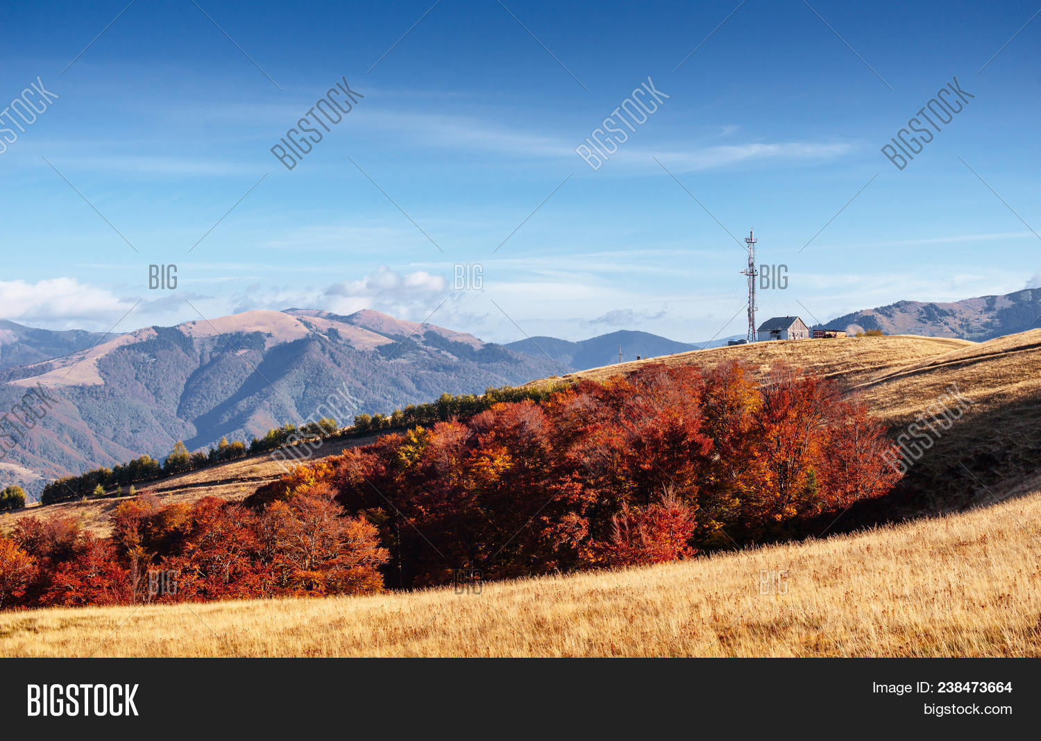 Highland Vegetation Image & Photo (Free Trial) | Bigstock